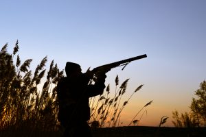 The 5 Most Famous Hunters of All Time - ArticleCity.com