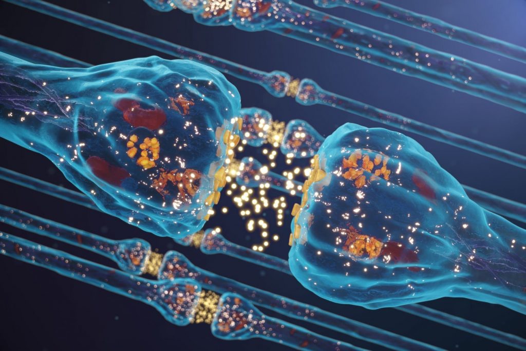 GABA: The Complete Guide - ArticleCity.com