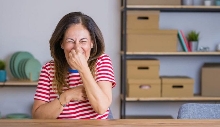 Smelly Apartment 101: A Guide to the Common Causes & Quickest Fixes ...