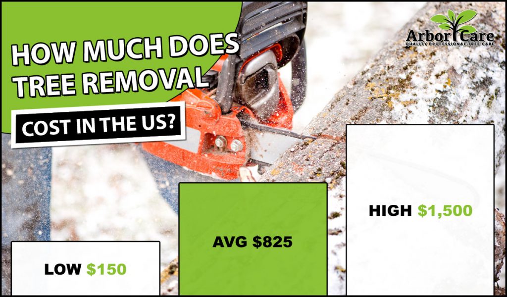 HOW MUCH DOES TREE REMOVAL COST? - ArticleCity.com