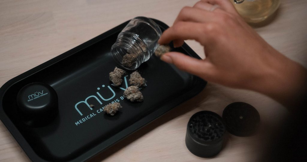 New MÜV Cannabis Strains - ArticleCity.com